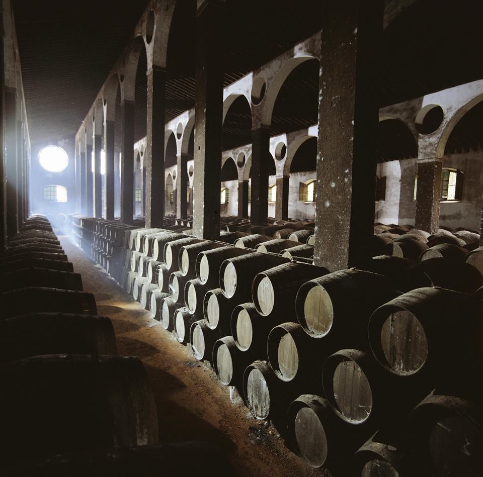 Bodega Barbadillo, Sanlucar de Barrameda | Puedo Viajar